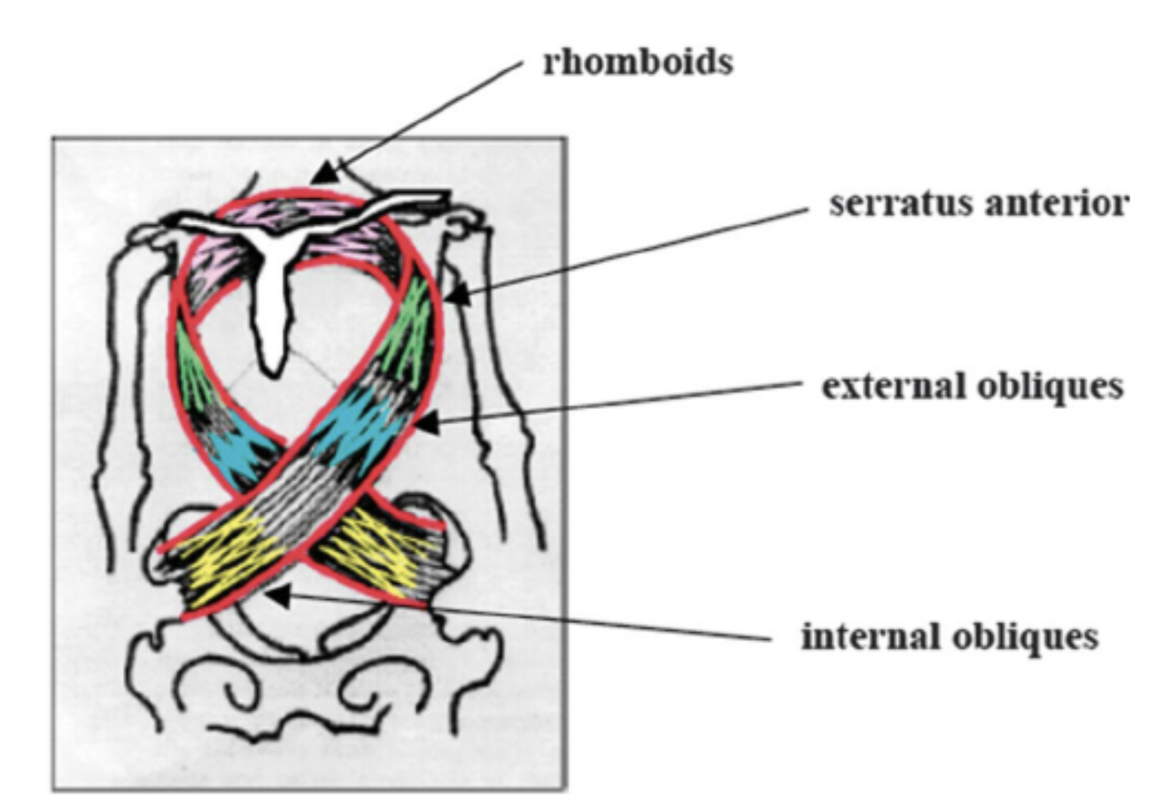 How To Stay In Hockey Shape - At-Home Hockey Conditioning Workout